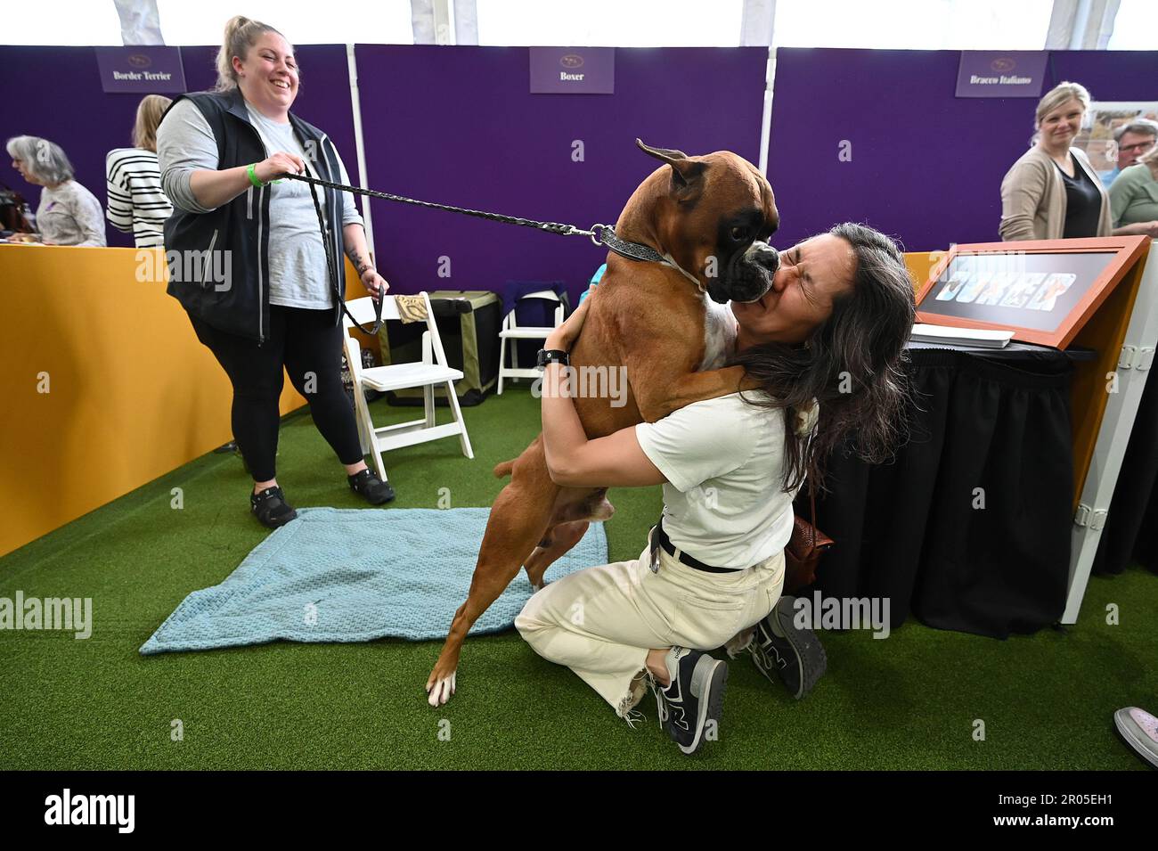 New York, USA. 06th May, 2023. A boxer named ‘Devo' affectionately ...
