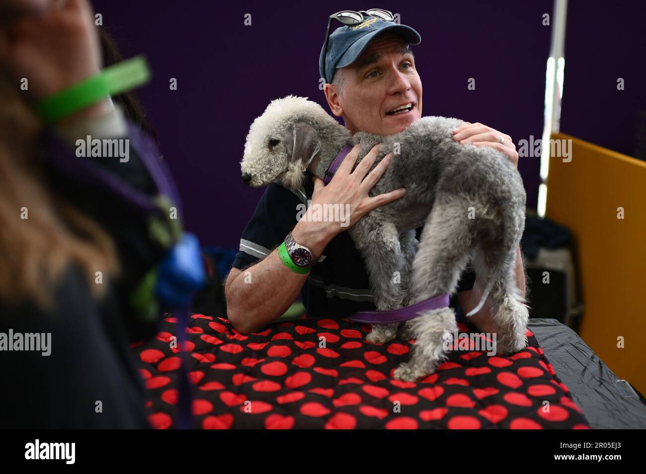 New York, USA. 06th May, 2023. Sean Newman holds his Bedlington terrier ...