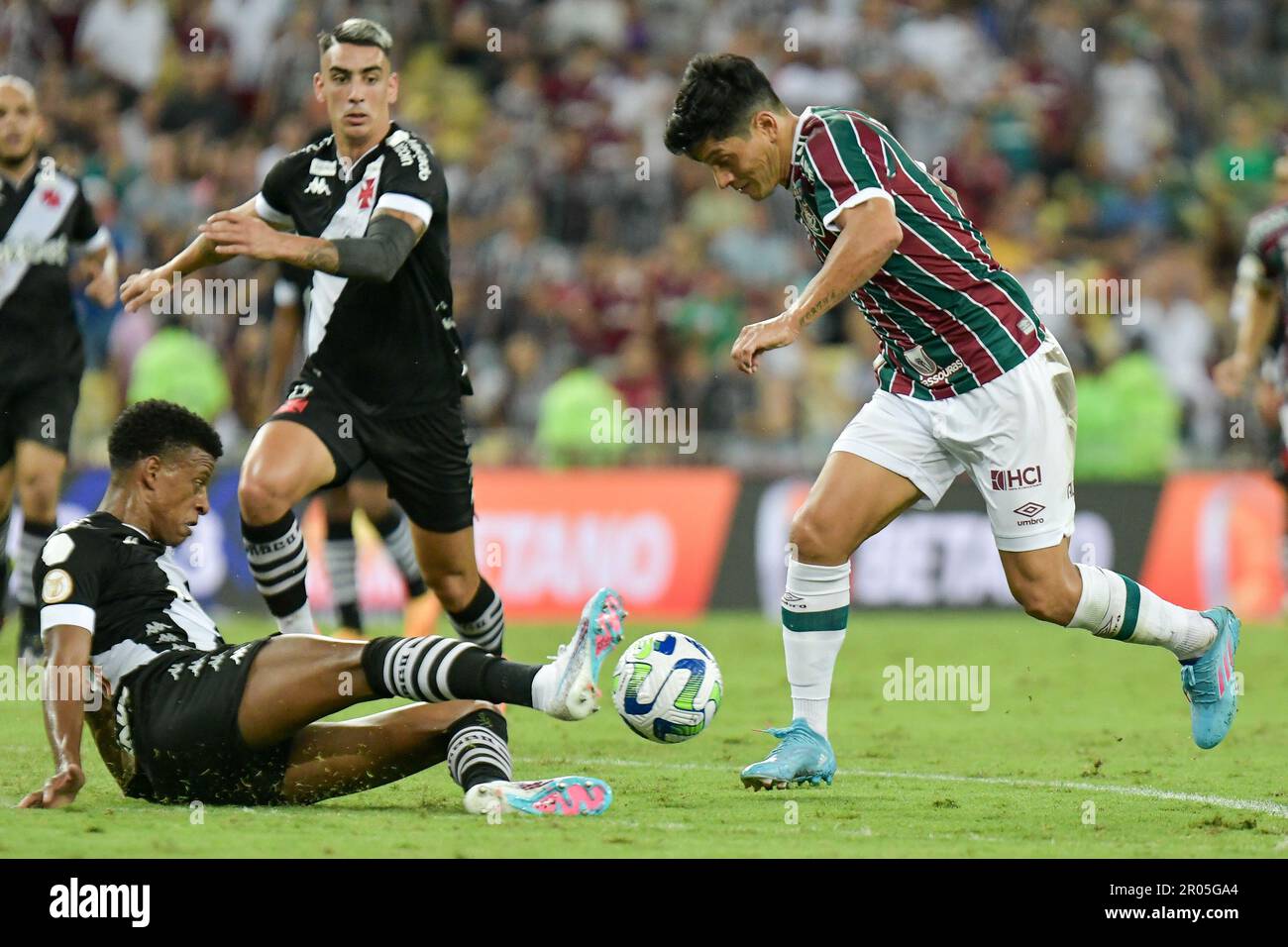 Robson bambu hi-res stock photography and images - Alamy