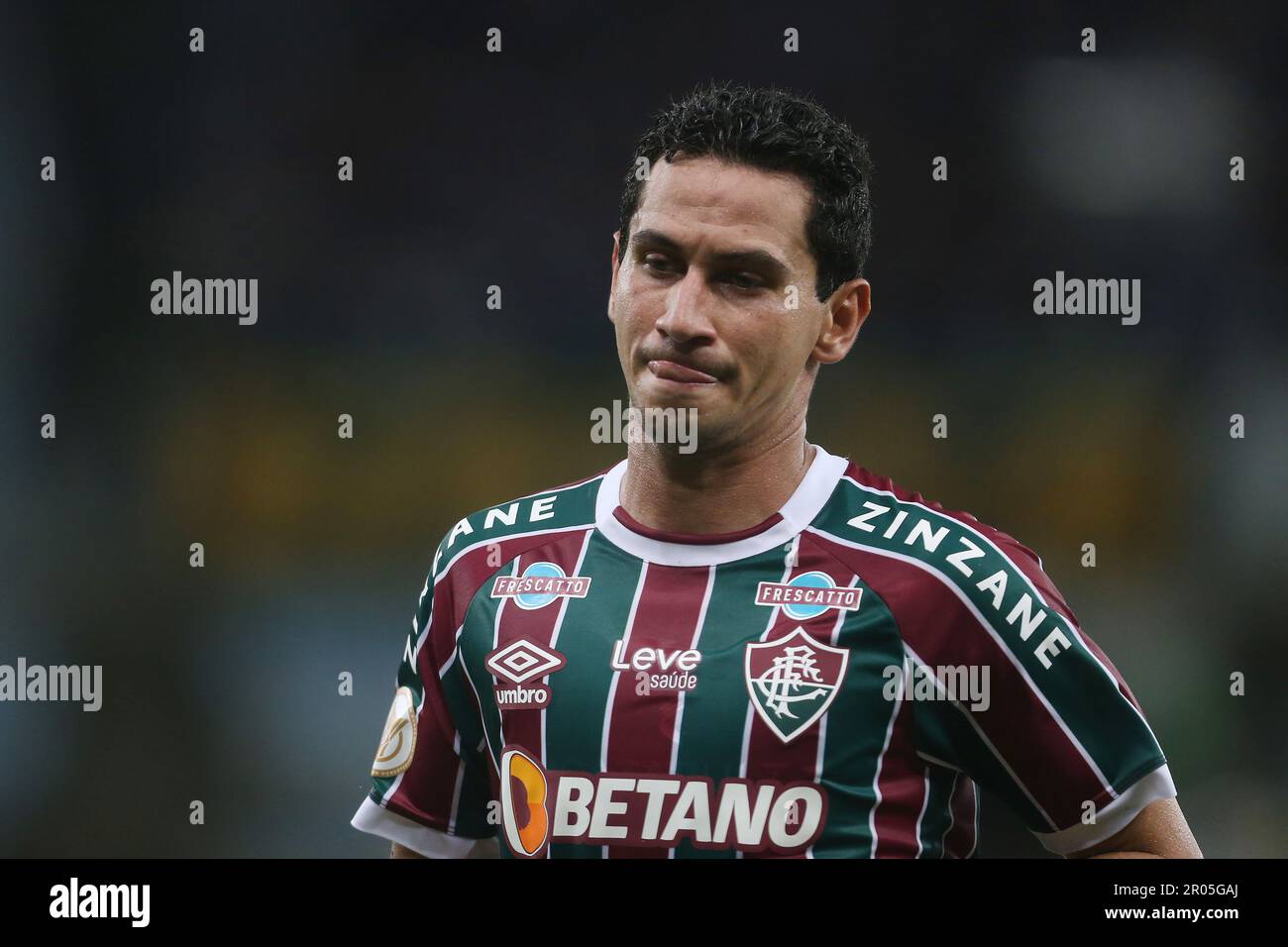 Ganso fluminense hi-res stock photography and images - Alamy