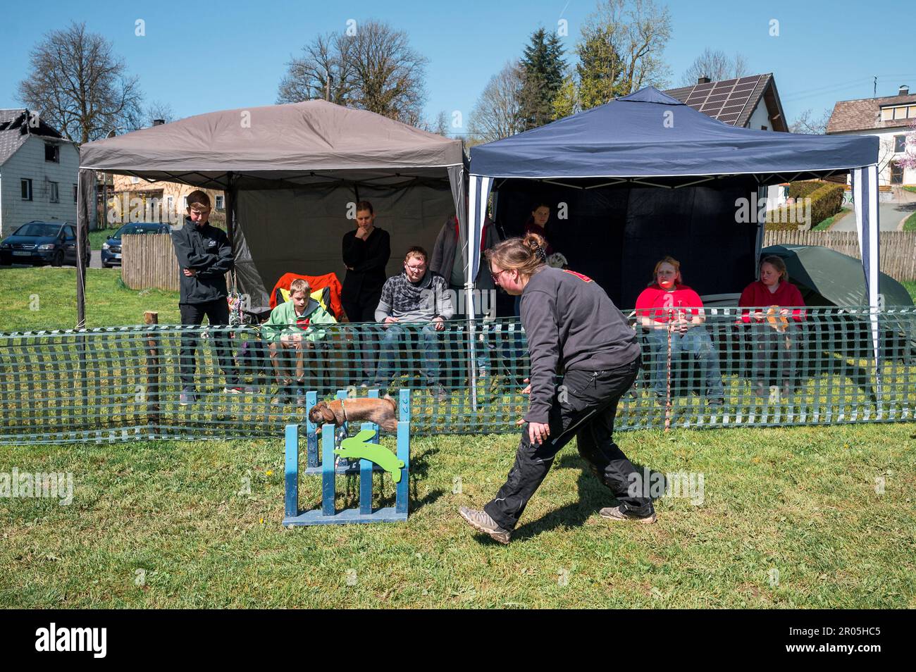 Schauenstein, Germany. 30th Apr, 2023. A ram rabbit jumps over an ...