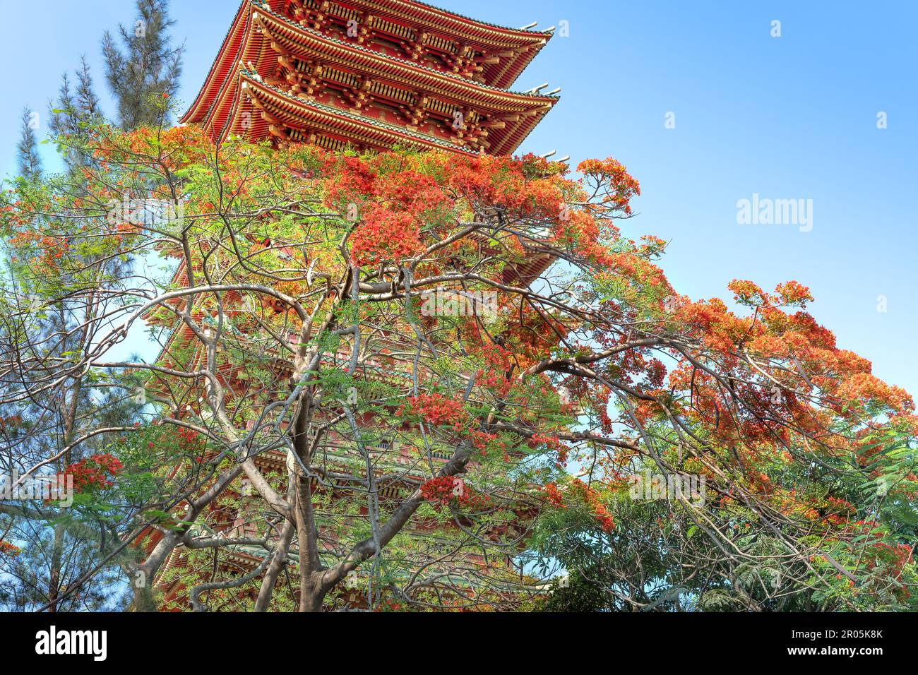 Admire the ancient temple of Minh Thanh in Pleiku city, Vietnam Stock ...