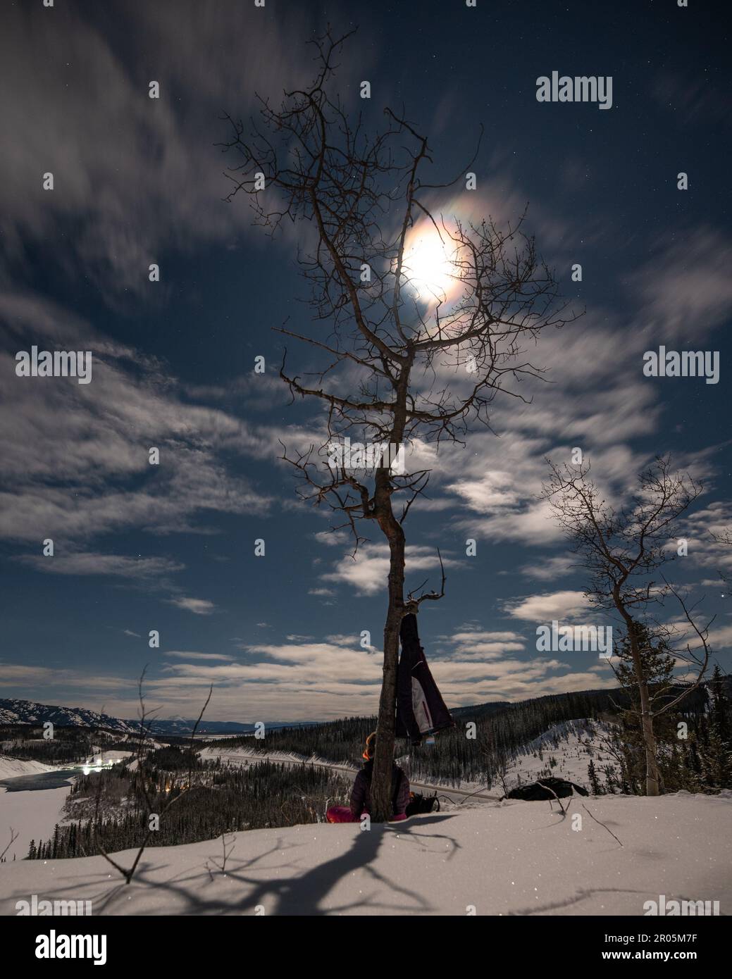 Night time scene of a winter road in northern Canada, Yukon Territory ...