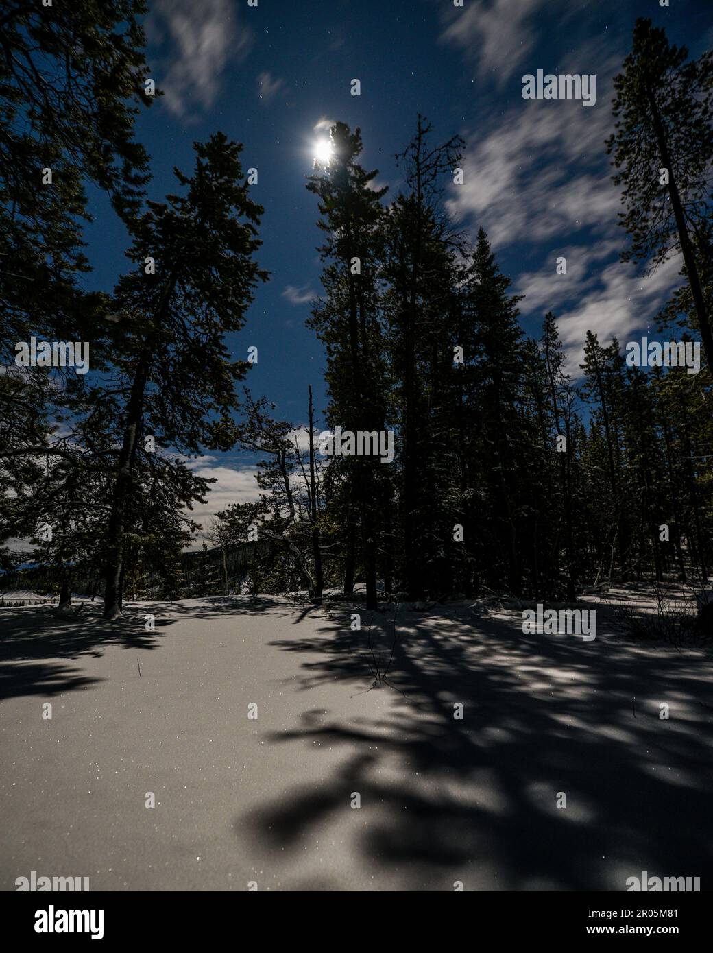 Night time scene of a winter road in northern Canada, Yukon Territory ...
