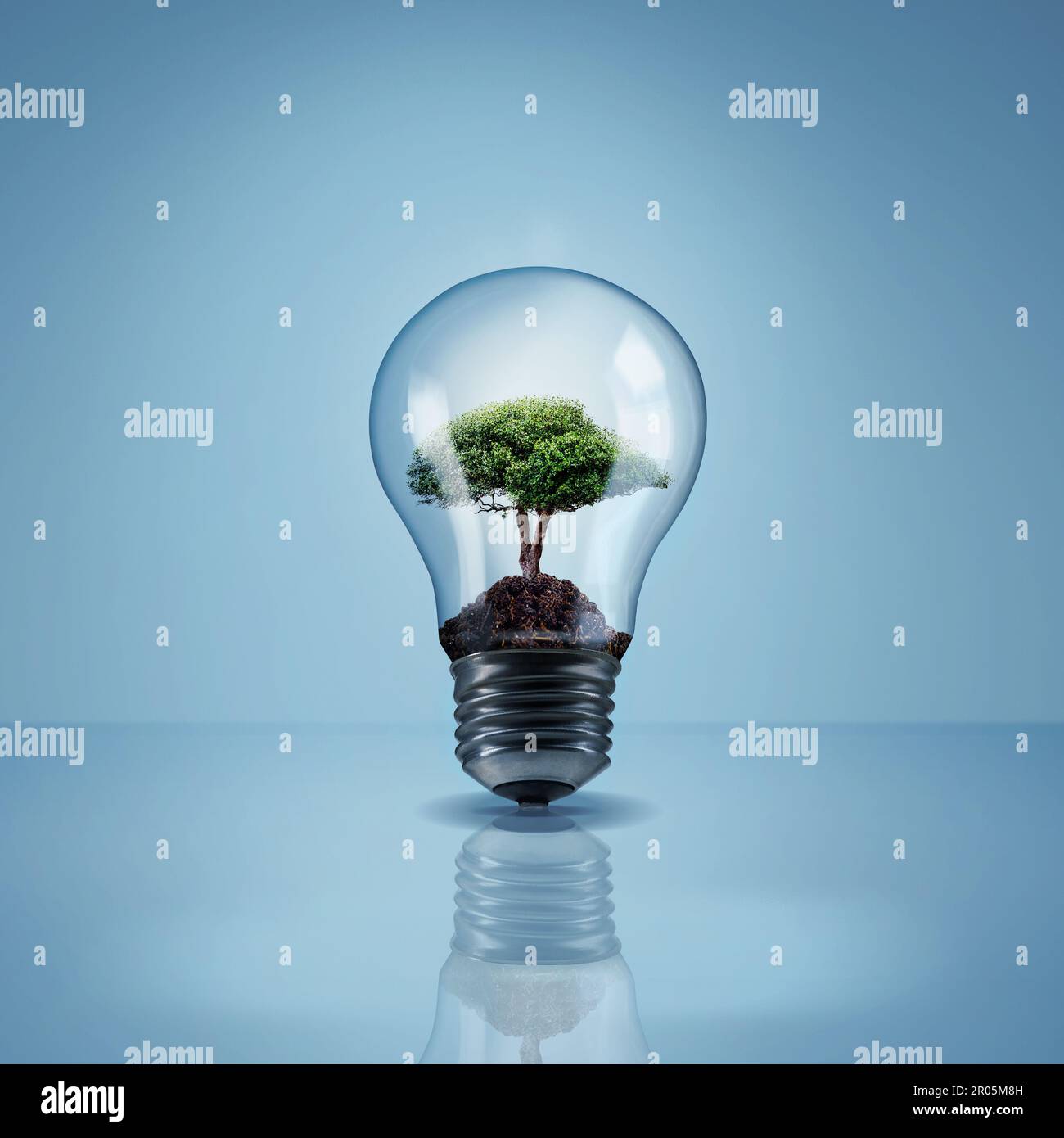 Environment, tree in light bulb and save energy, eco friendly and ...