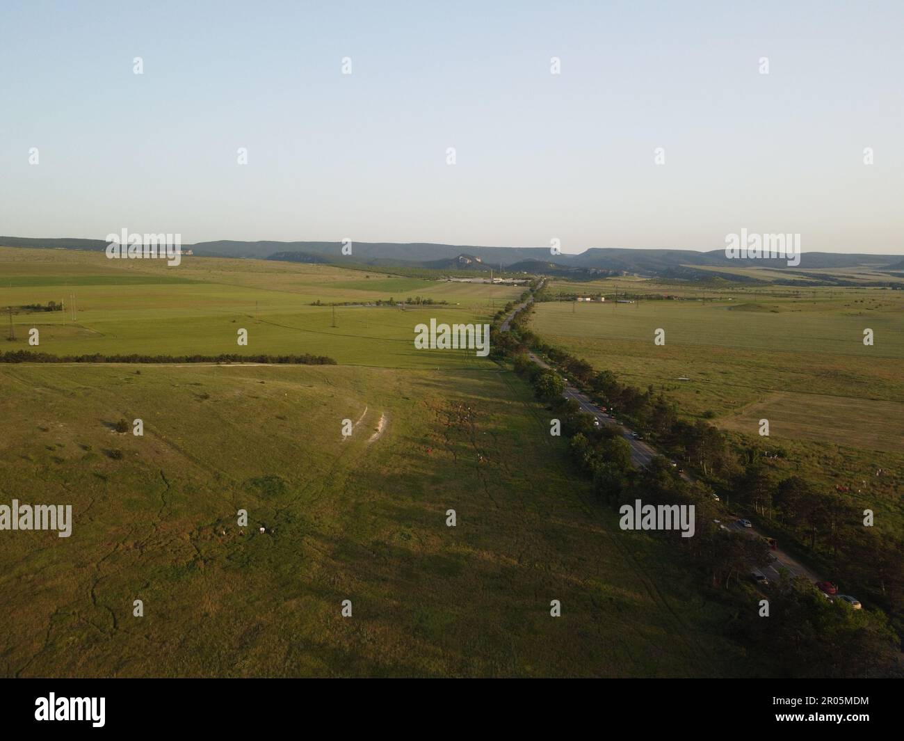 aerial view of a road cutting through a field of green wheat in the ...