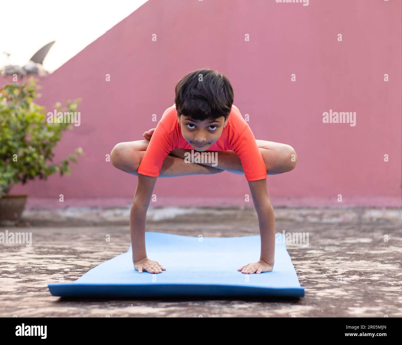 Indian rooster hi-res stock photography and images - Alamy