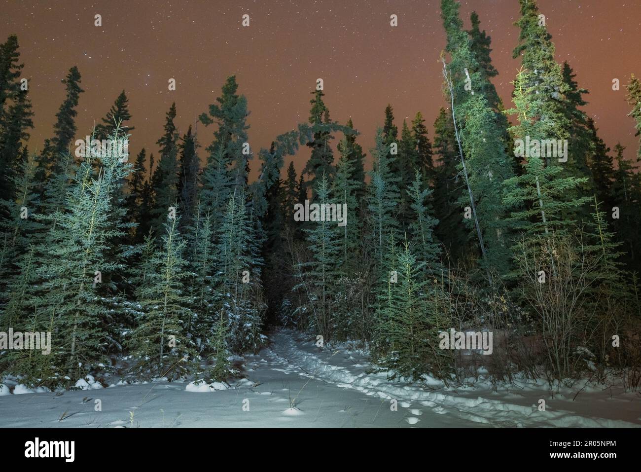 Yukon landscapes hi-res stock photography and images - Alamy