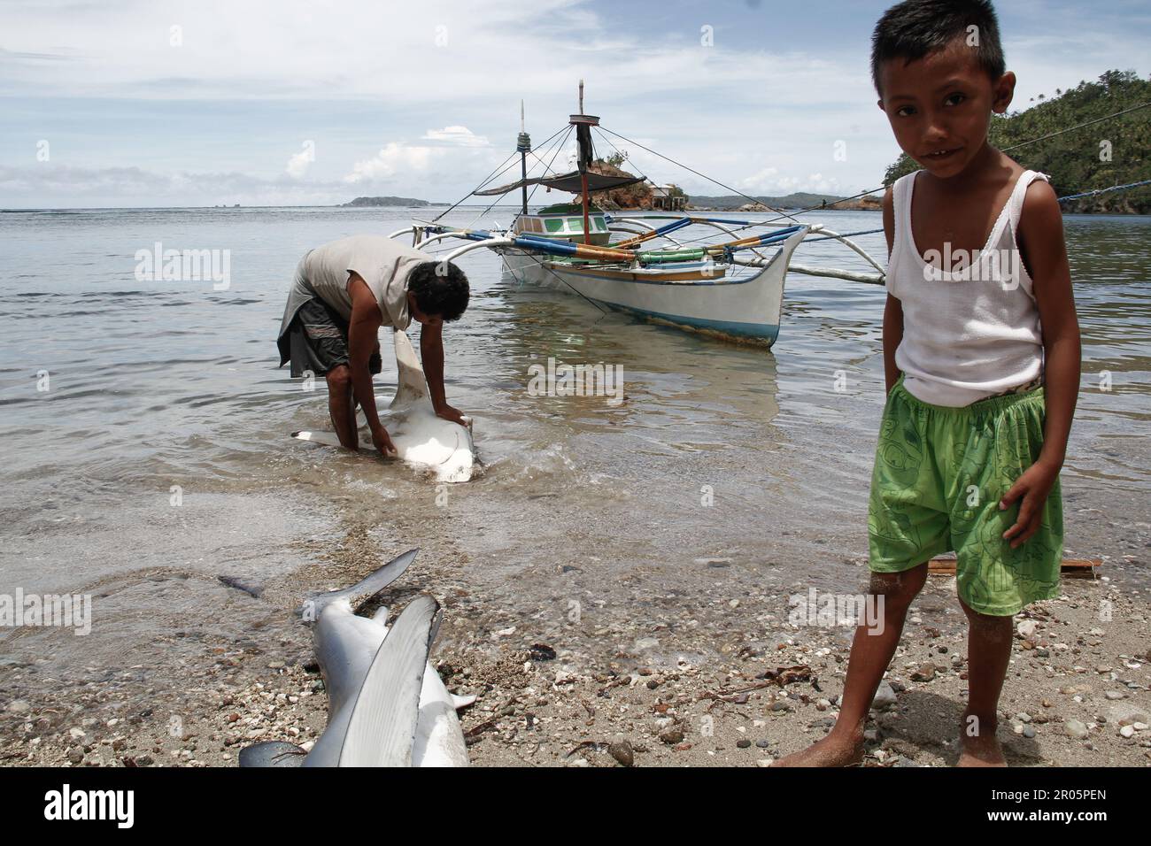 Fishermen on Batuwingkung Island, North Sulawesi, Indonesia are slicing ...