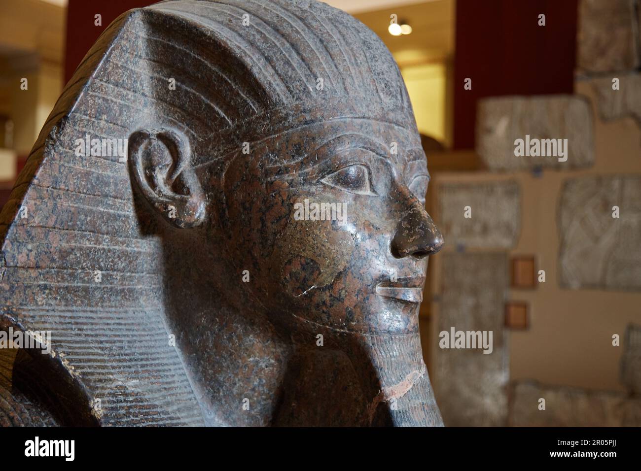 Sculptures in Cairo Depicting Hatshepsut, the Most Famous Female ...