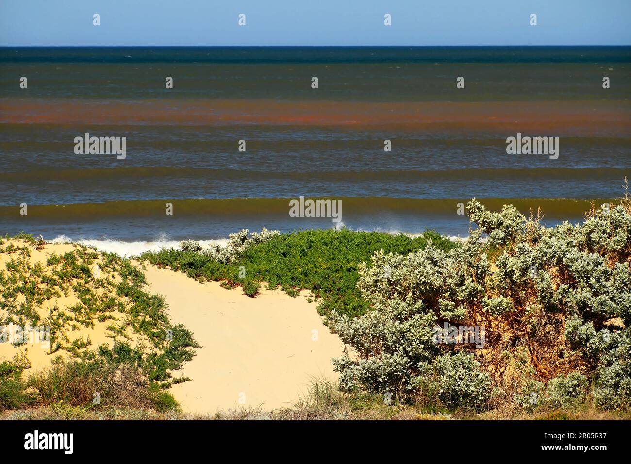 Red stream of water flowing along coastline from the flooded Gascoyne ...