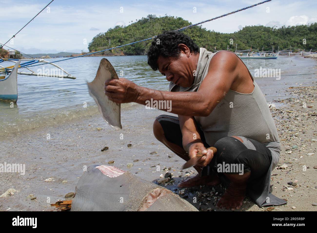 Fishermen on Batuwingkung Island, North Sulawesi, Indonesia are slicing ...