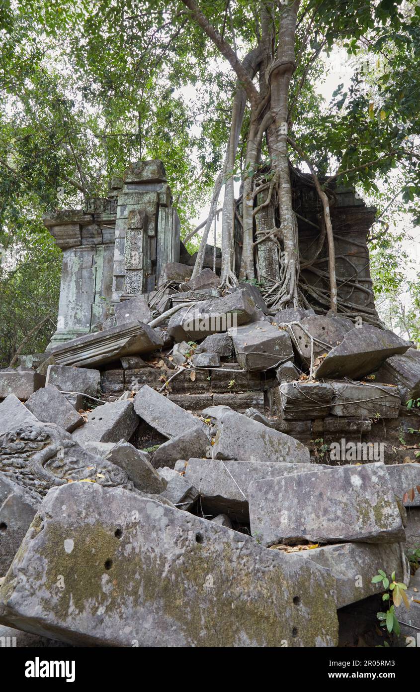 The Expansive Beng Mealea Temple in the Jungles of Cambodia is One of ...