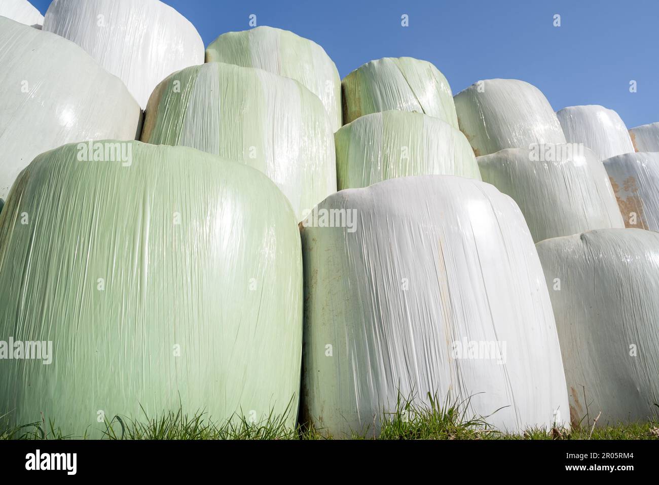 Stacked and foil wrapped hay bales in the countryside Stock Photo - Alamy