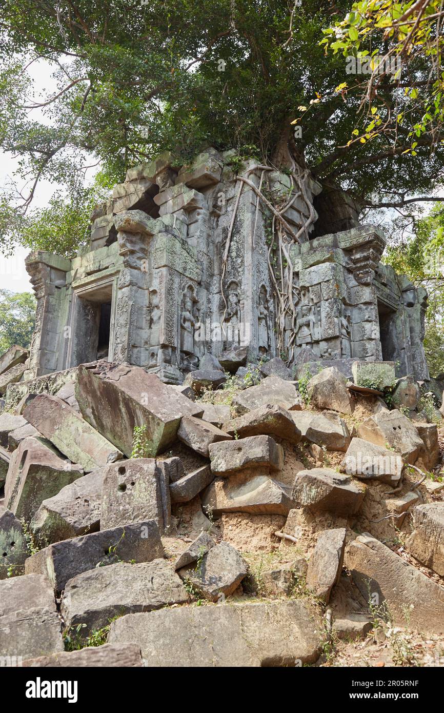 The Expansive Beng Mealea Temple in the Jungles of Cambodia is One of ...