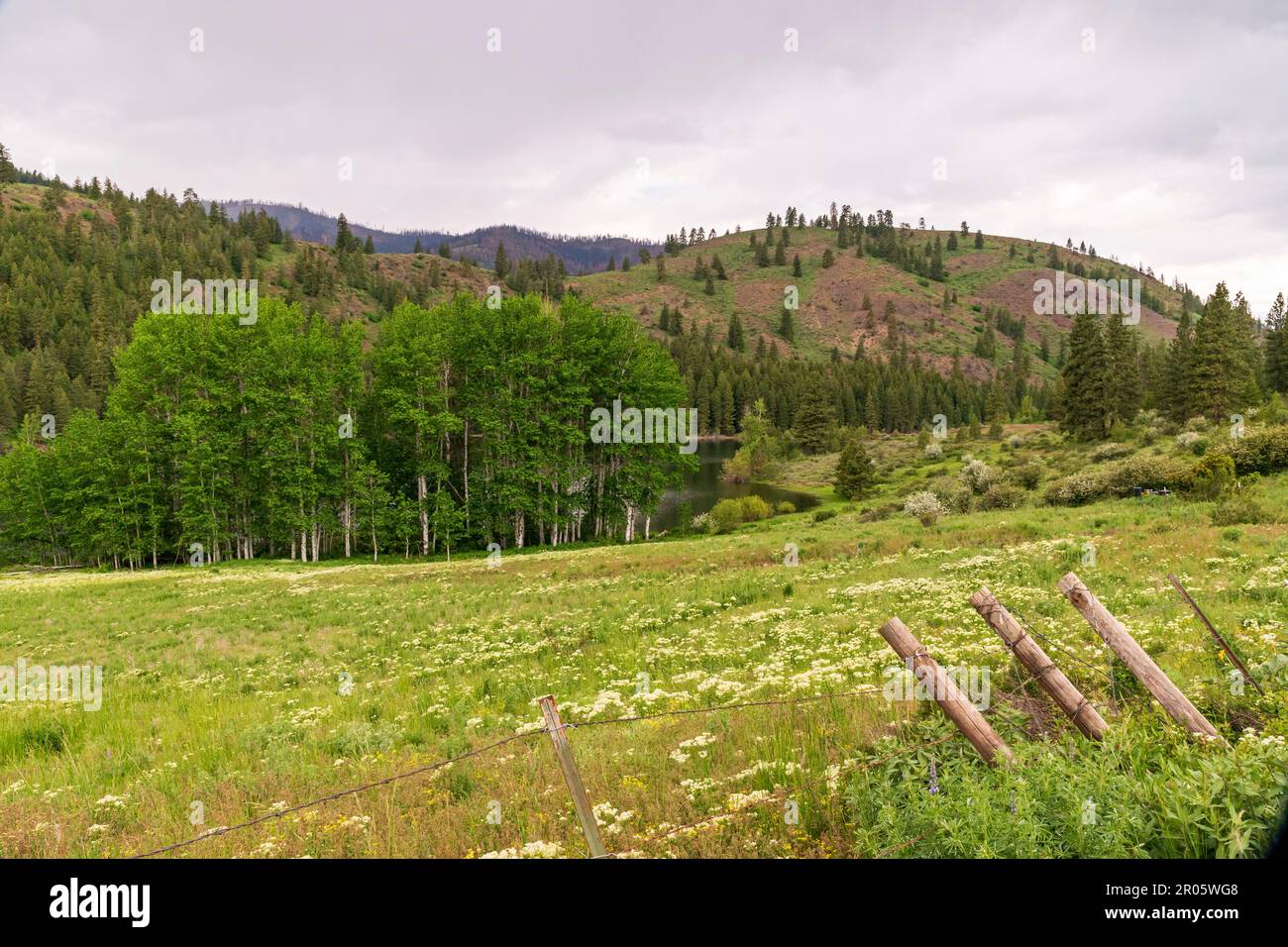 Patterson grove hi-res stock photography and images - Alamy