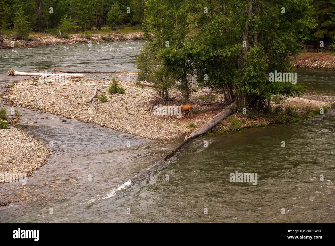 Chewuch river hi-res stock photography and images - Alamy
