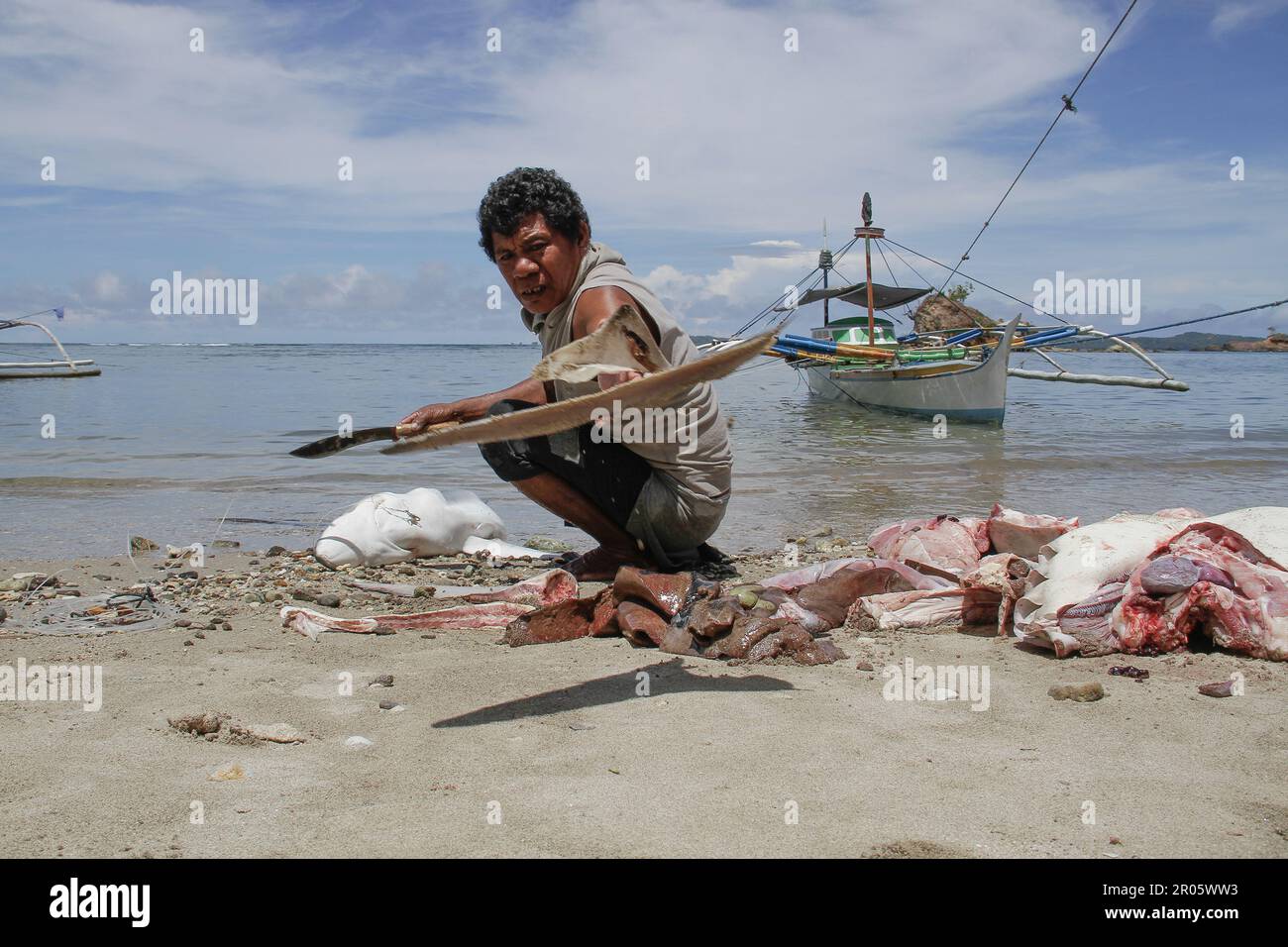 Fishermen on Batuwingkung Island, North Sulawesi, Indonesia are slicing ...