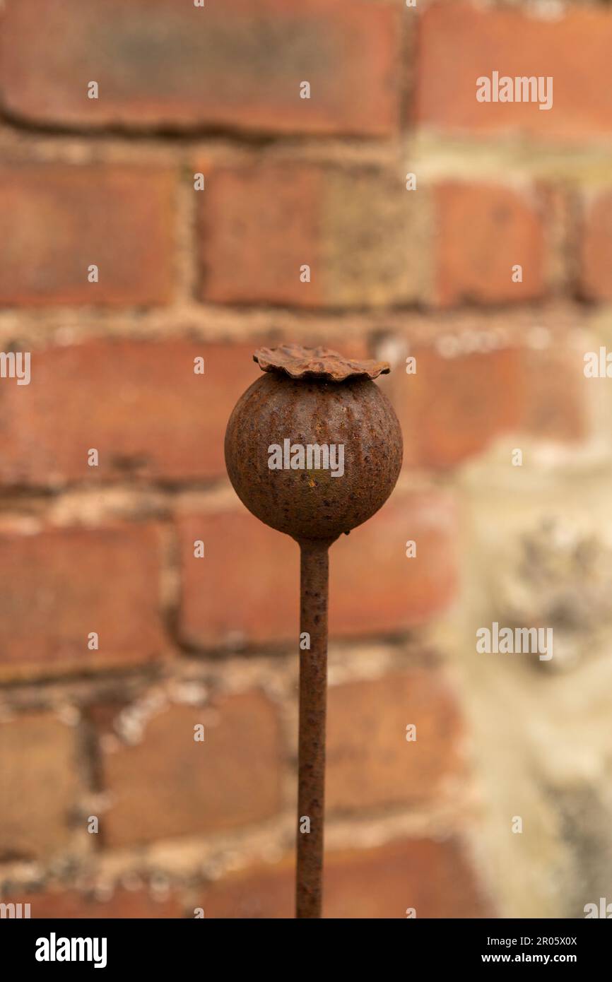 Ornamental steel poppy seed sculpture. Wye Valley Flowers supplier of ...