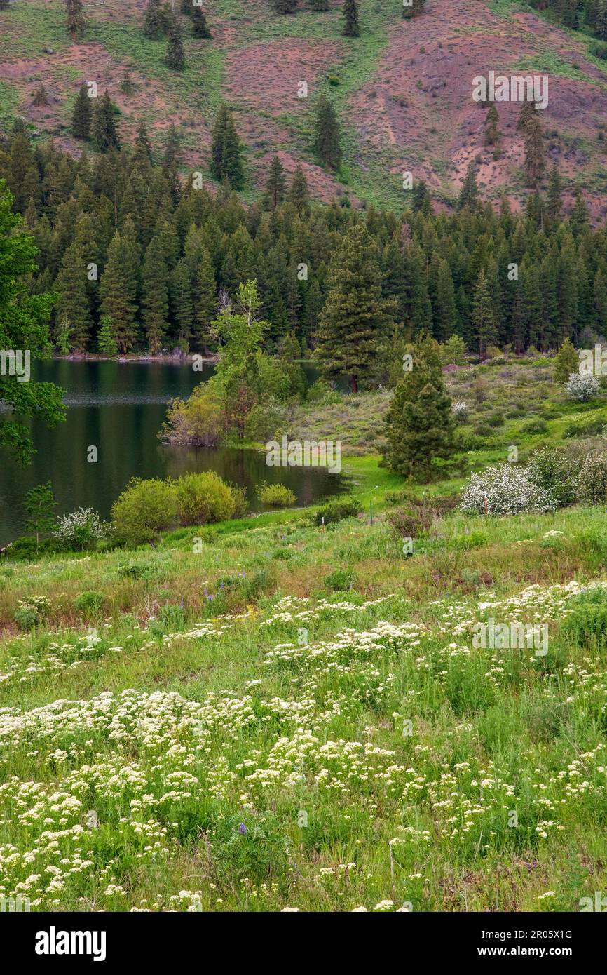 All shades of green are represented in this vertical image of Patterson ...