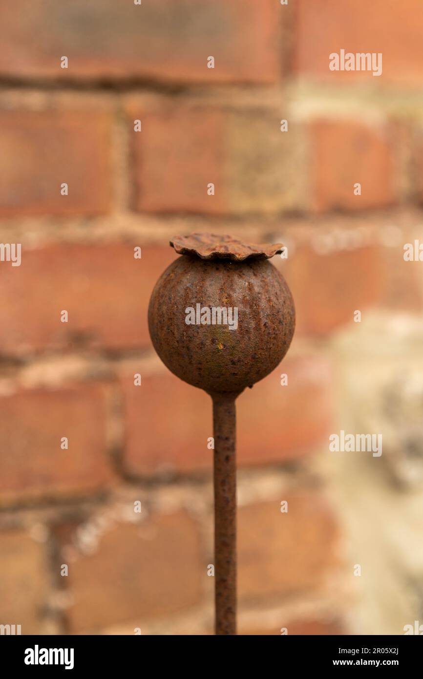 Ornamental steel poppy seed sculpture. Wye Valley Flowers supplier of ...