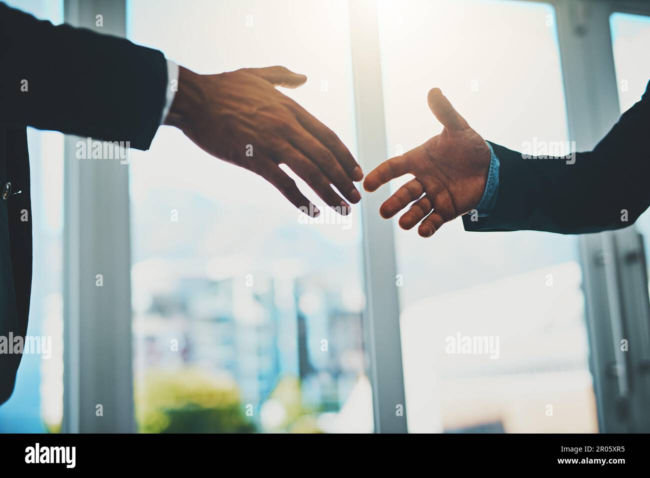 Finalizing their business deal. two businessmen shaking hands Stock ...