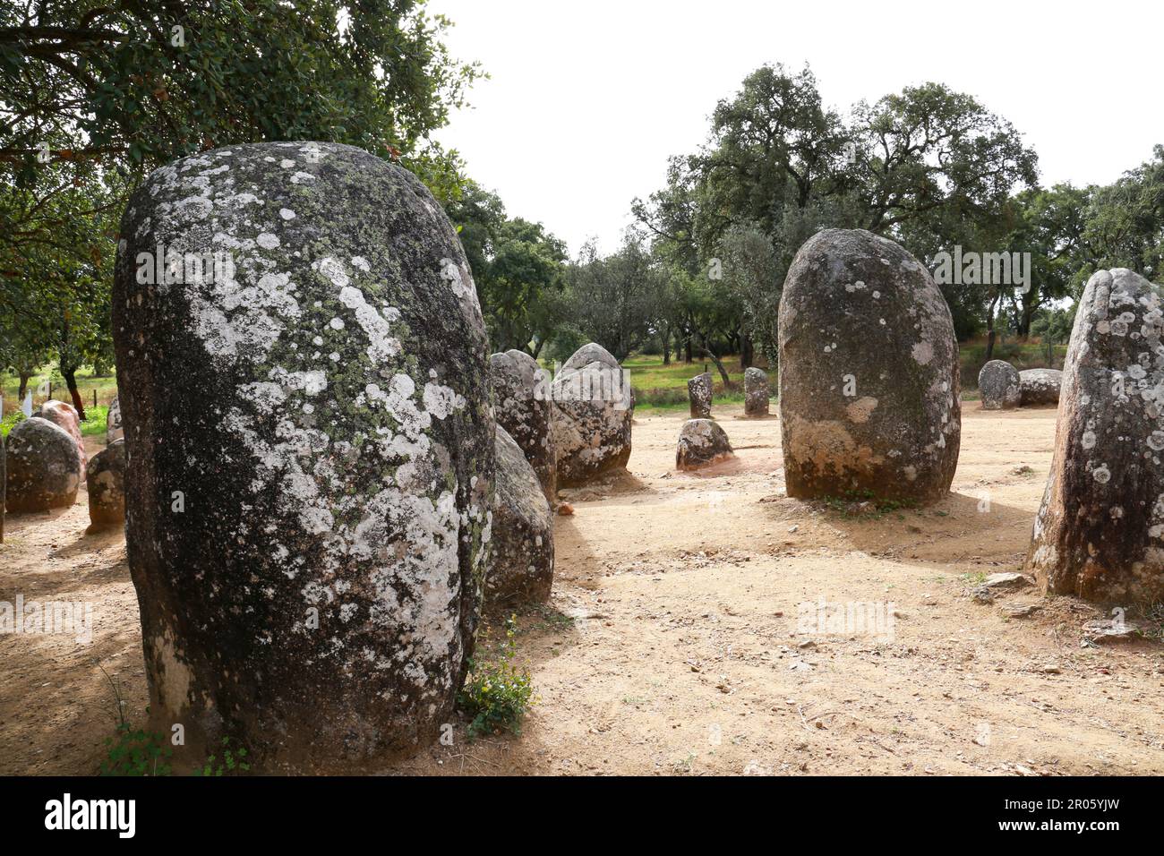 Amazing Megalithic monument in Evora called The Almendres Cromlech ...