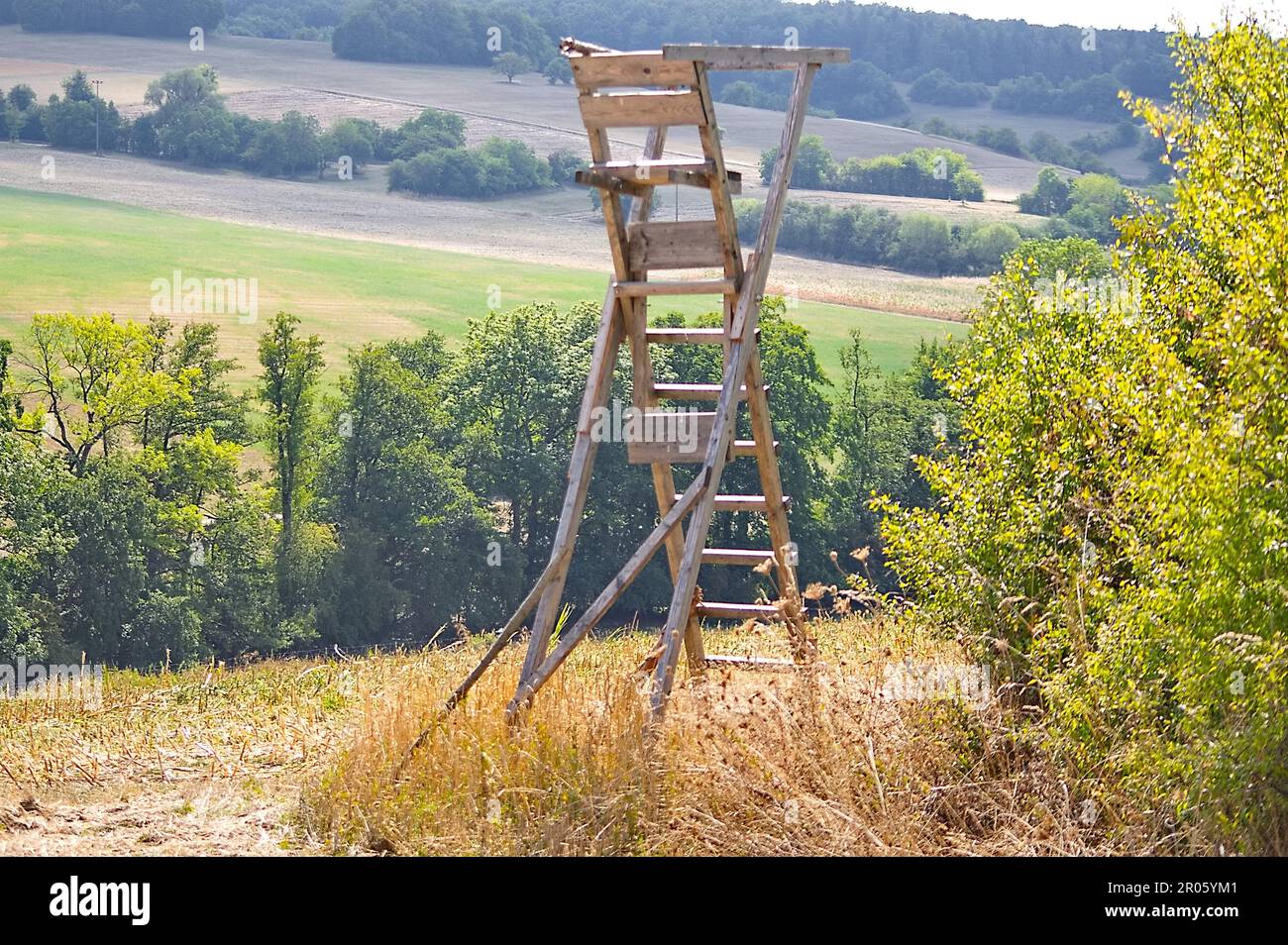 Hunting high seat hi-res stock photography and images - Alamy