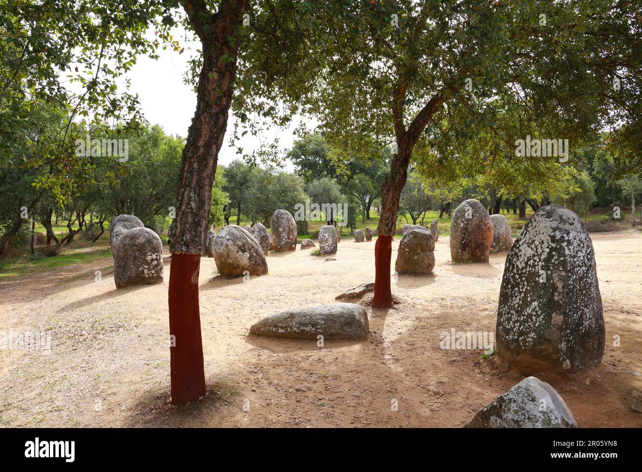 Amazing Megalithic monument in Evora called The Almendres Cromlech ...