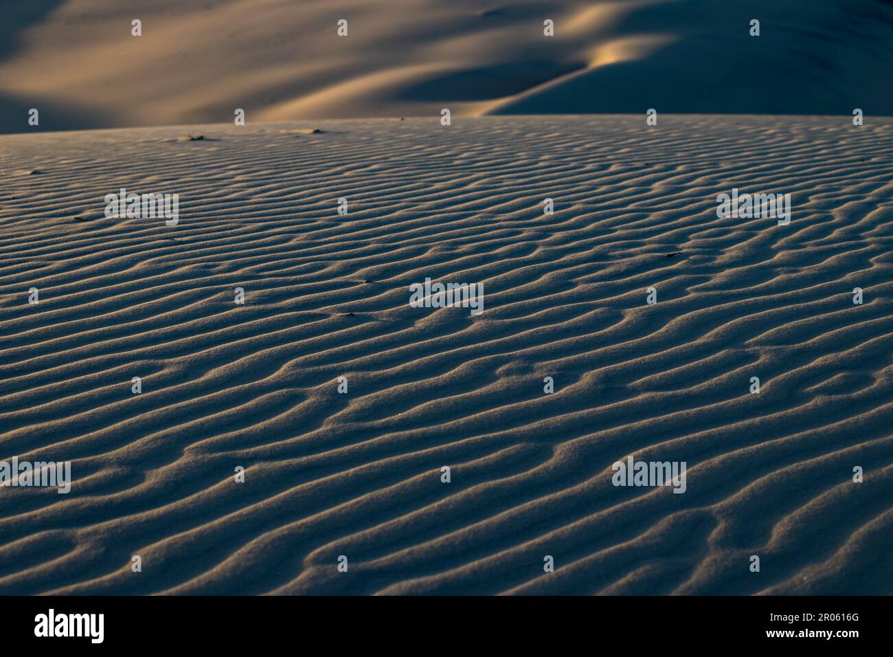 Tangalooma australia hi-res stock photography and images - Alamy