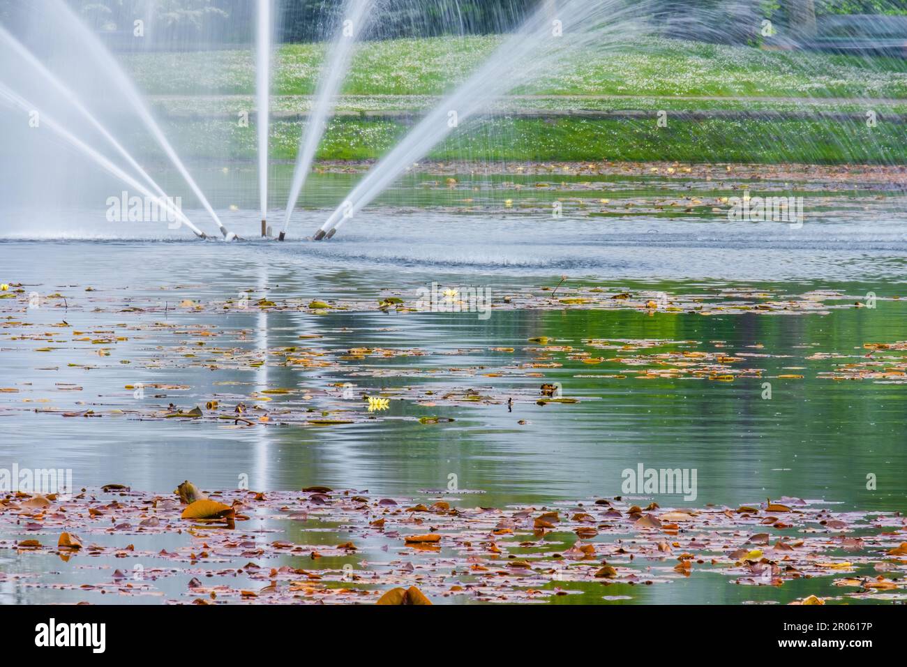 Beautiful fountain in lake at the park. Splashing streams Stock Photo ...