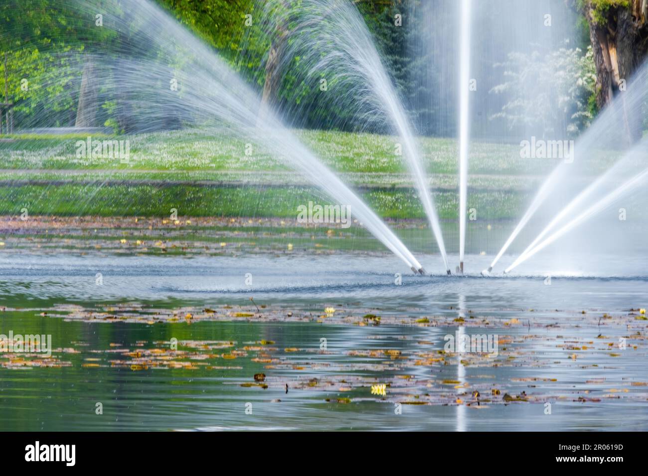 Beautiful fountain in lake at the park. Splashing streams Stock Photo ...