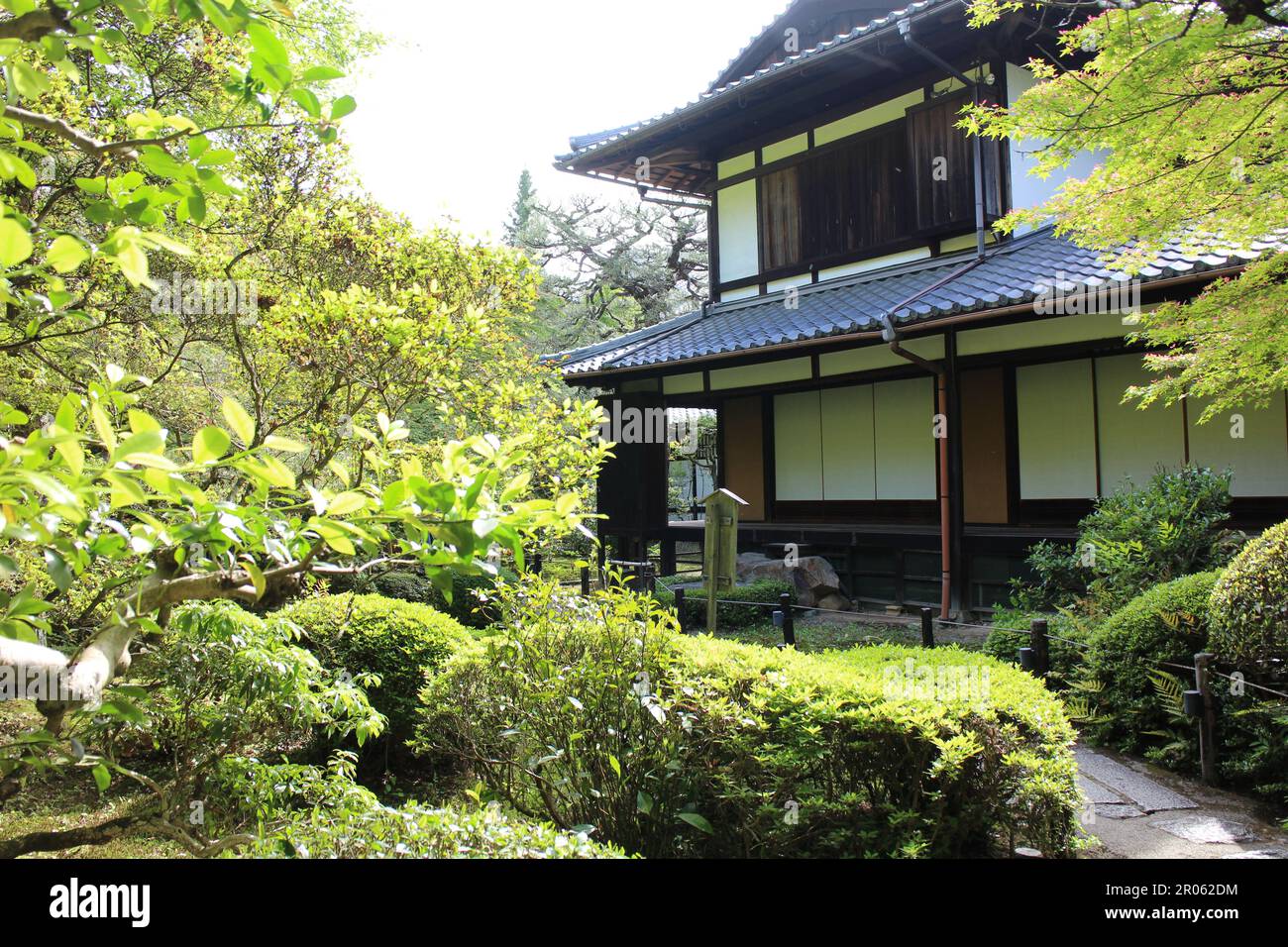 Shorenin garden hi-res stock photography and images - Alamy