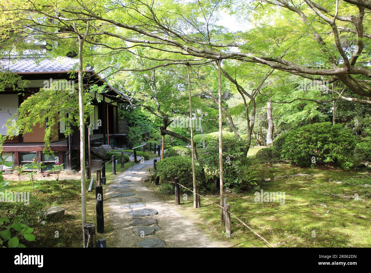 Shorenin garden hi-res stock photography and images - Alamy