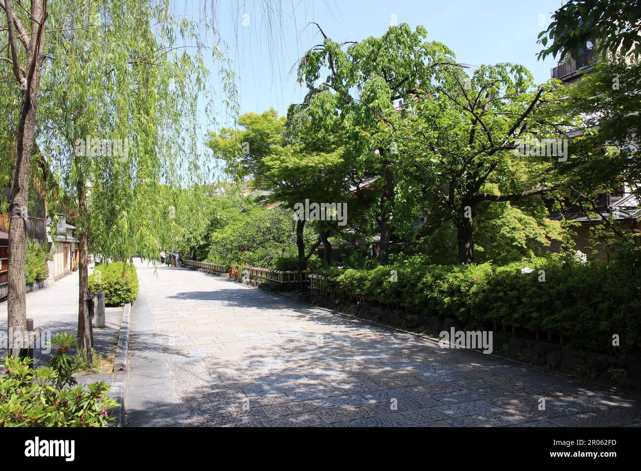 Shirakawa-minami-dori, the old town in Kyoto, Japan Stock Photo - Alamy