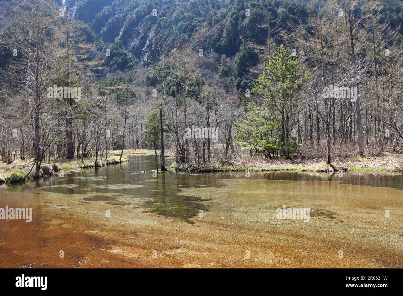 Tashiro hi-res stock photography and images - Alamy