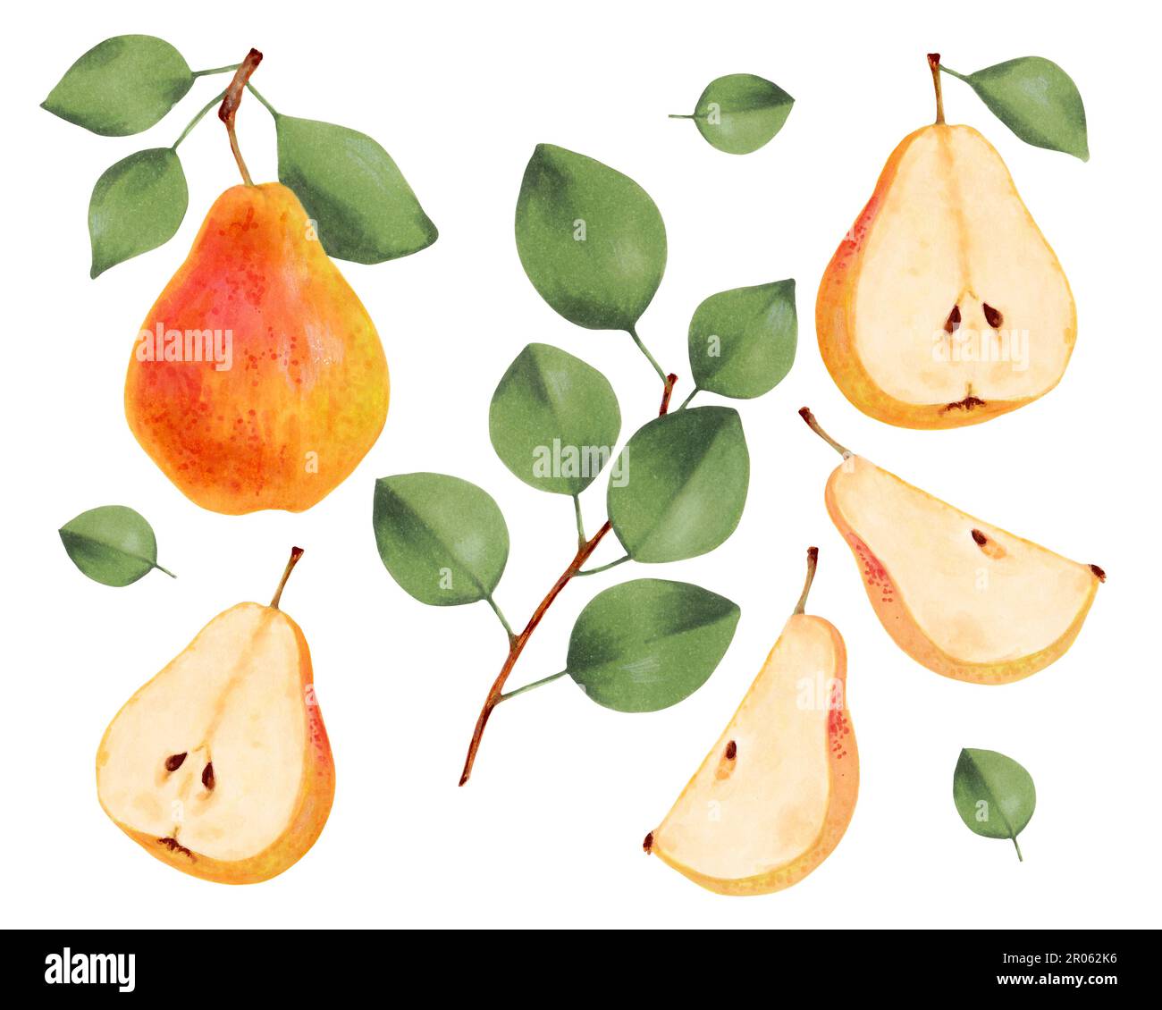 Fruits realistic set green hi-res stock photography and images - Alamy