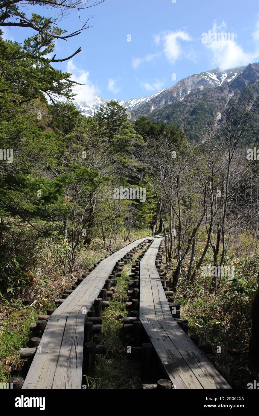 Hiking course in Dakesawa Marsh, Kamikochi, Japan Stock Photo - Alamy
