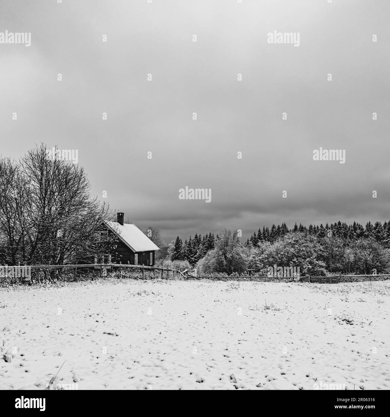 A grayscale of a winter landscape with a rural house and a forest Stock ...