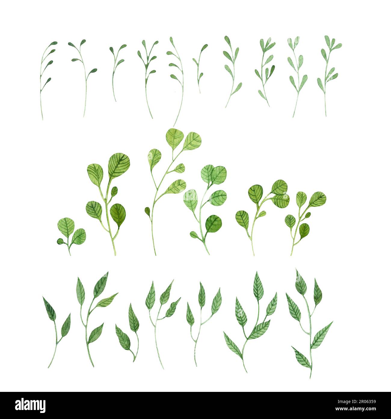 Drawn in watercolor in hand technique hi-res stock photography and ...