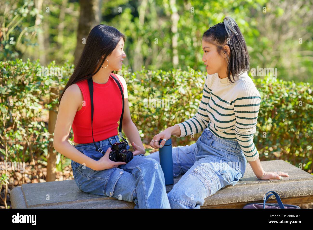 Calm Asian women chatting on bench during trip Stock Photo - Alamy