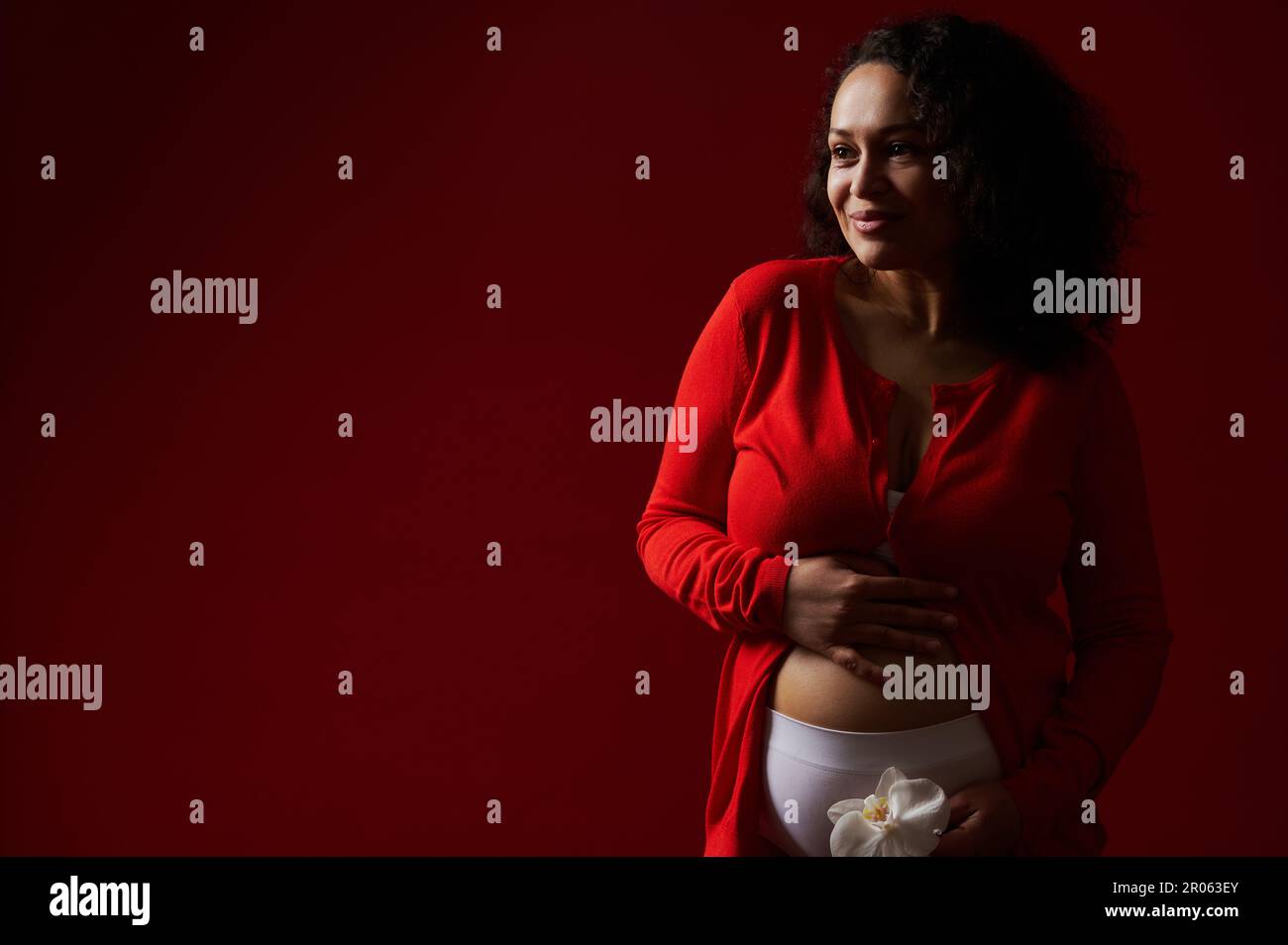 Ethnic Adult Pregnant Woman Smiling Looking Aside Gently Caressing Her