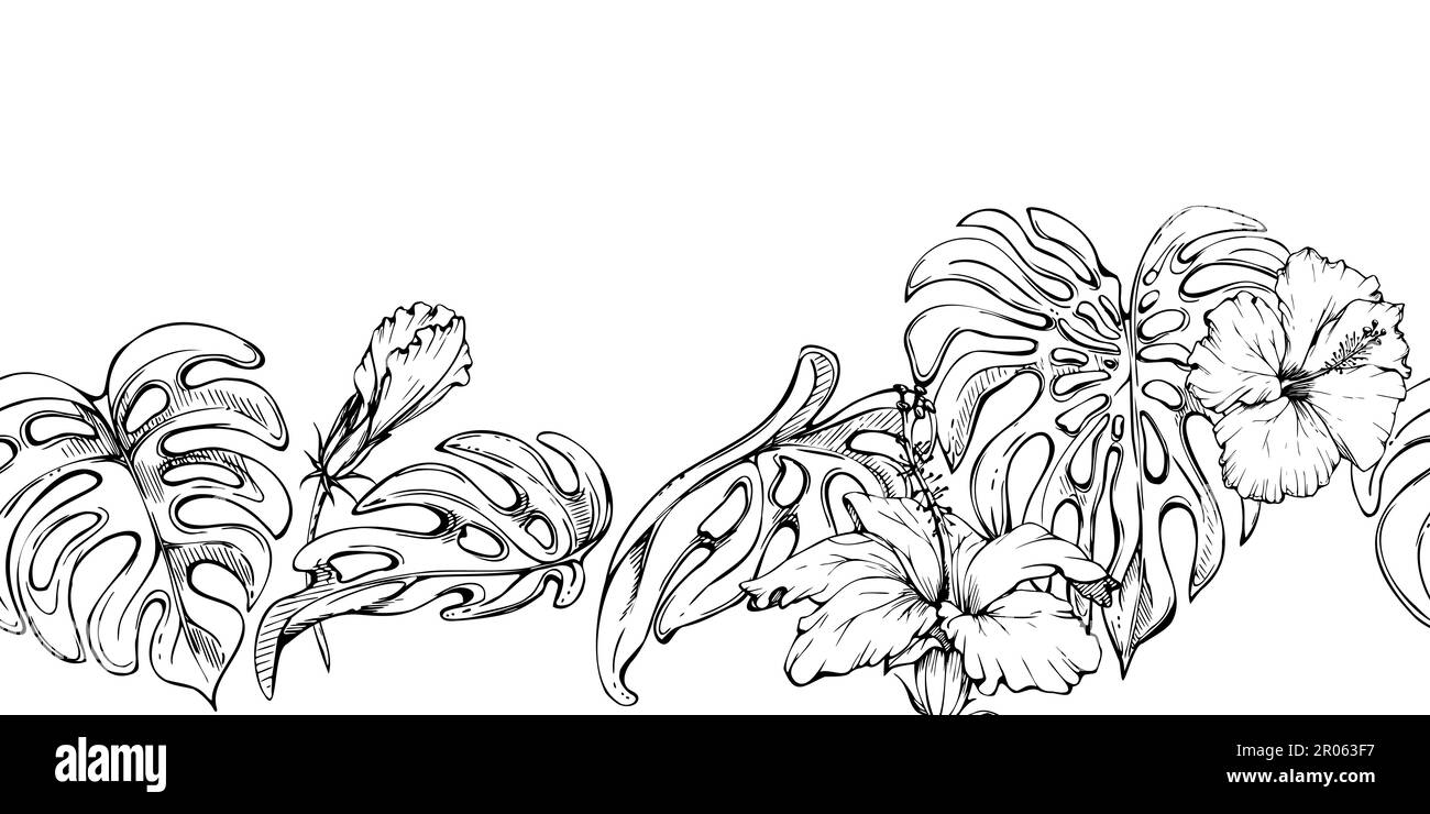 Hand drawn vector ink exotic monstera leaves and hibiscus. Seamless ...
