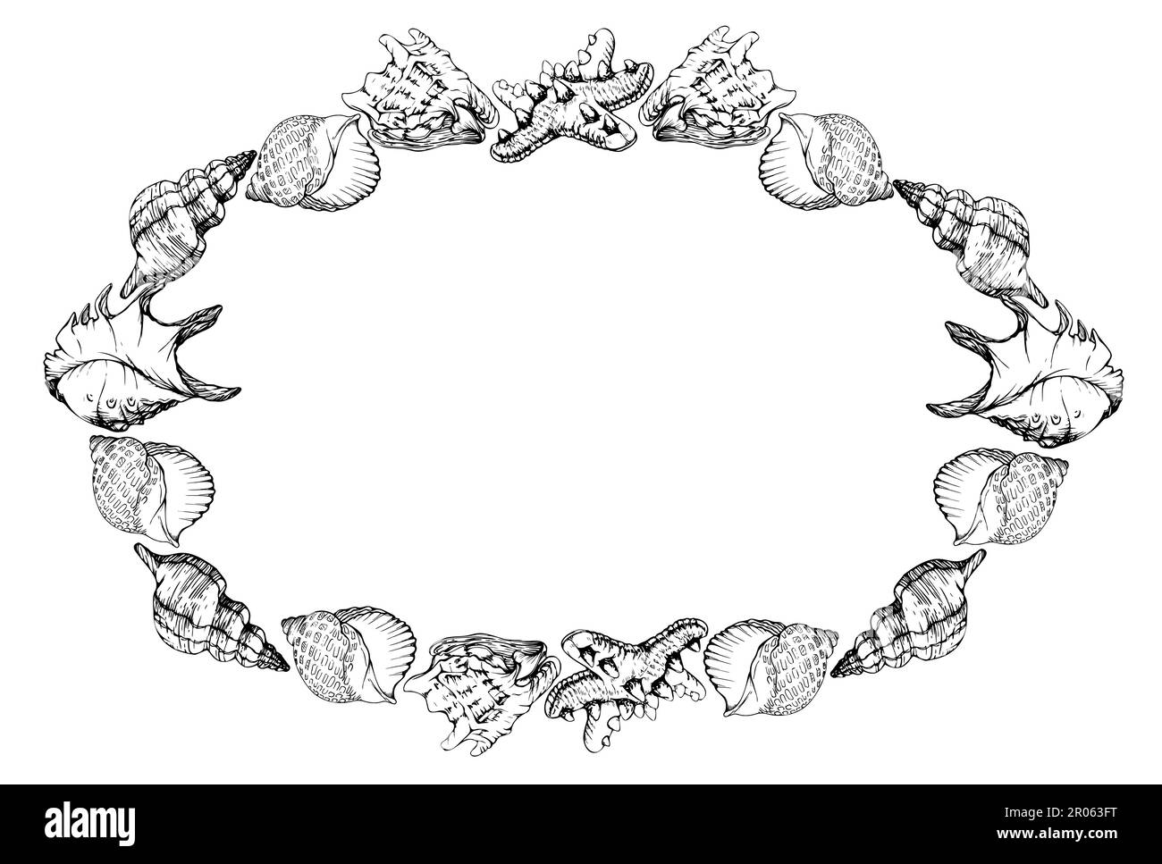 Hand drawn vector ink exotic sea shells and colorful glass, starfish ...