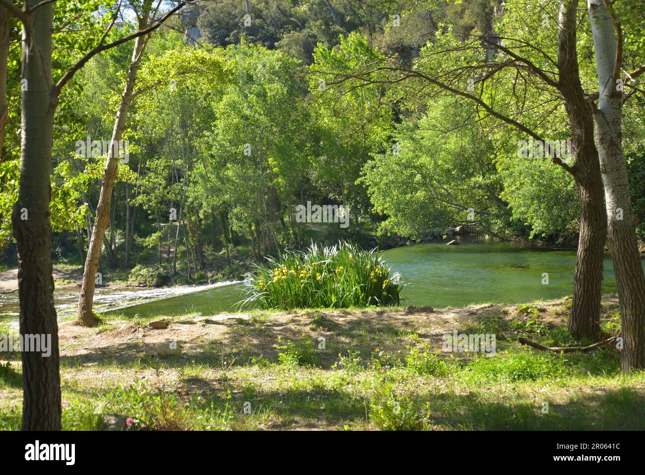 Argens river hi-res stock photography and images - Alamy