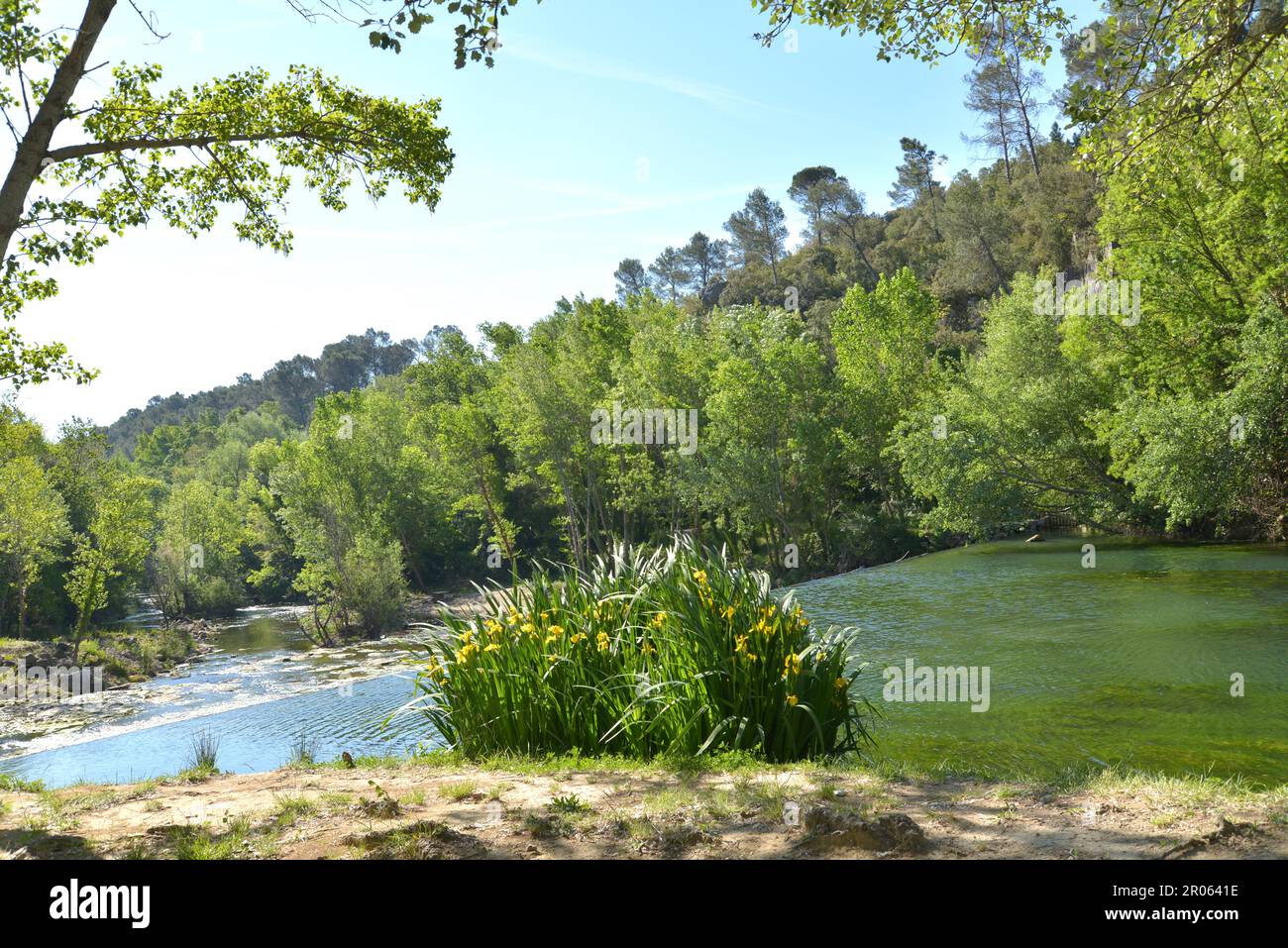 The Argens river in spring in Correns in Provence Stock Photo - Alamy
