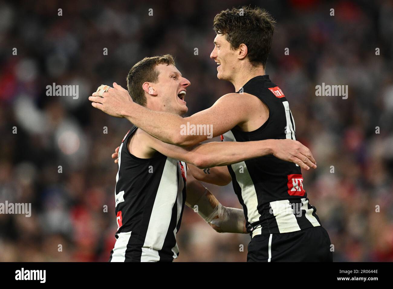 Will Hoskin-Elliott of Collingwood (left) joins Brody Mihocek of ...