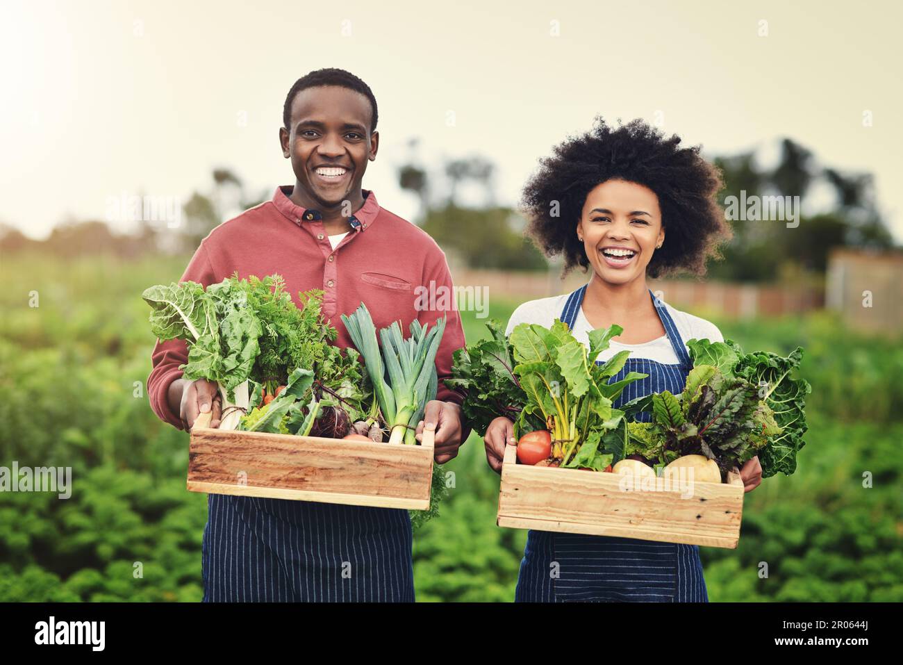 Everything is grown with love on our farm. young farmers tending to ...
