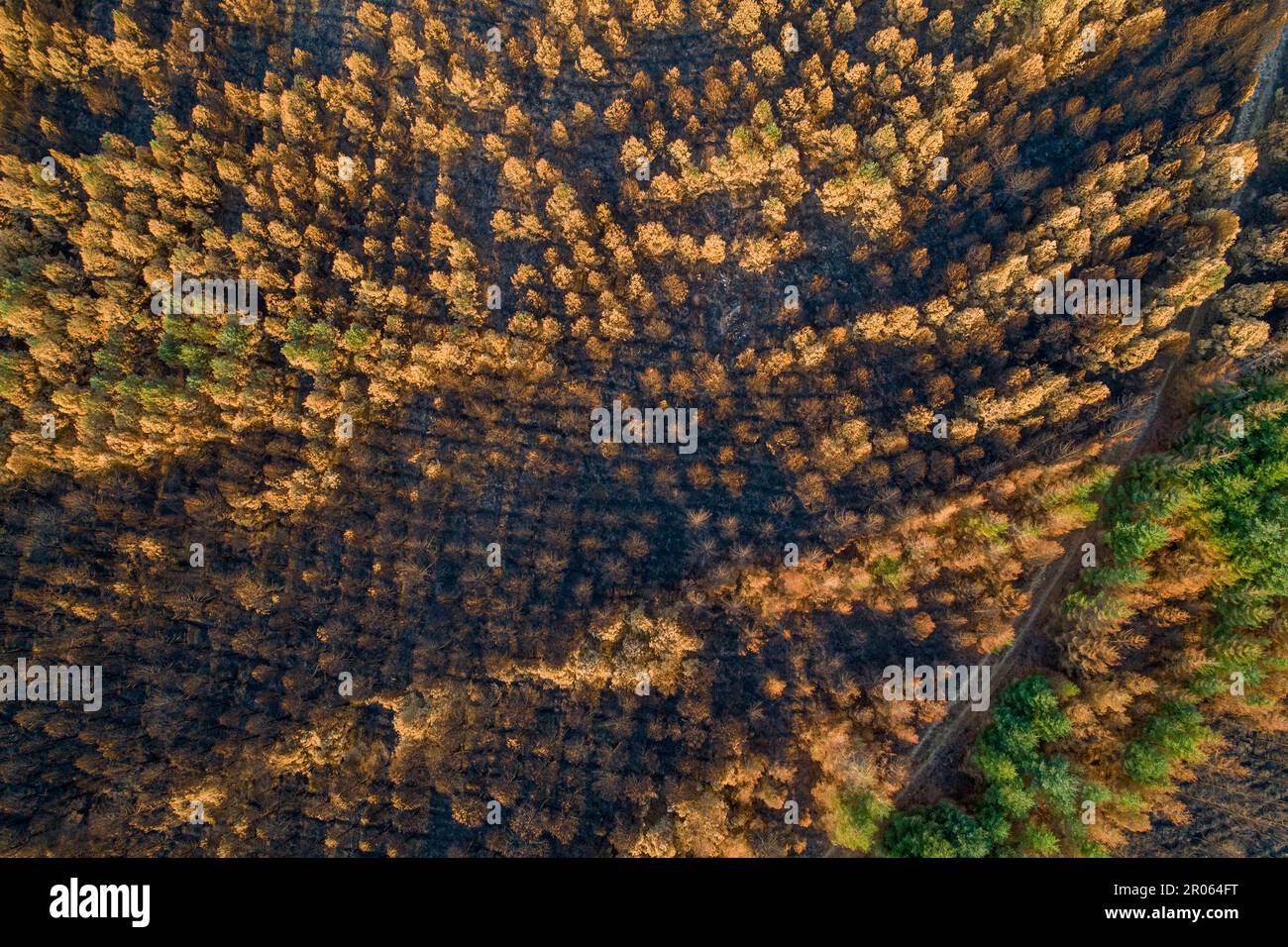 Deforestation aerial extreme hi-res stock photography and images - Alamy