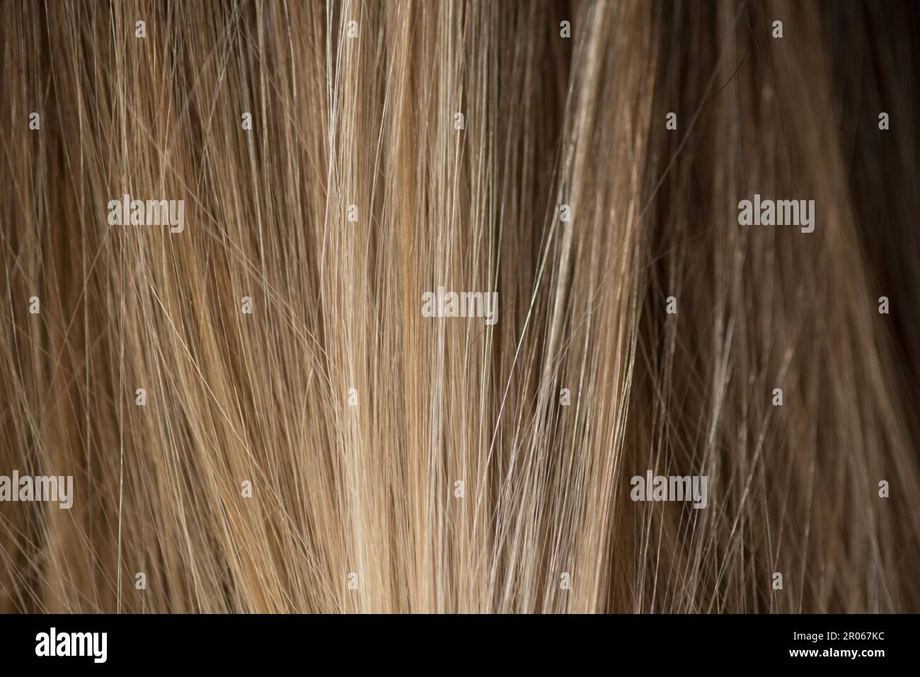 Dilemmi hi-res stock photography and images - Alamy